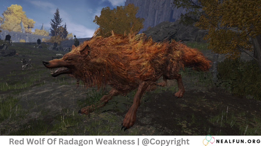 Red Wolf Of Radagon Weakness: How To Beat The Boss?